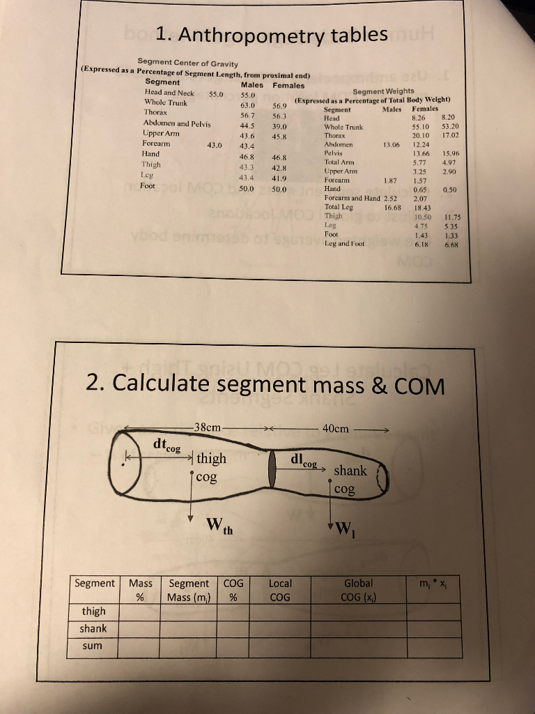 Solved Write Mfile Using Matlab To Calculate Body Cog Using 