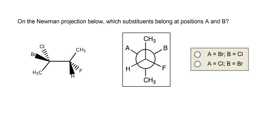 Solved On the Newman projection below, which substituents | Chegg.com