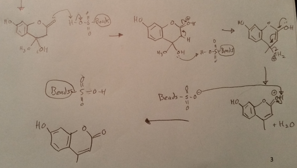 Solved Is this the correct reaction mechanism for the | Chegg.com