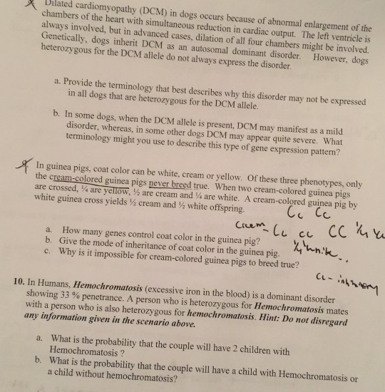 Solved Dilated cardiomyopathy (DCM) in dogs occurs because | Chegg.com