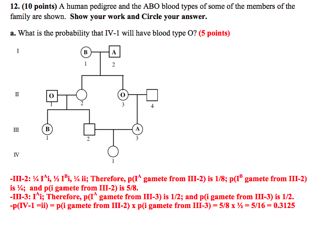 Solved 12. (10 points) A human pedigree and the ABO blood | Chegg.com