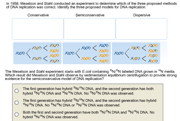 Solved In 1958, Meselson and Stahl conducted an experiment | Chegg.com