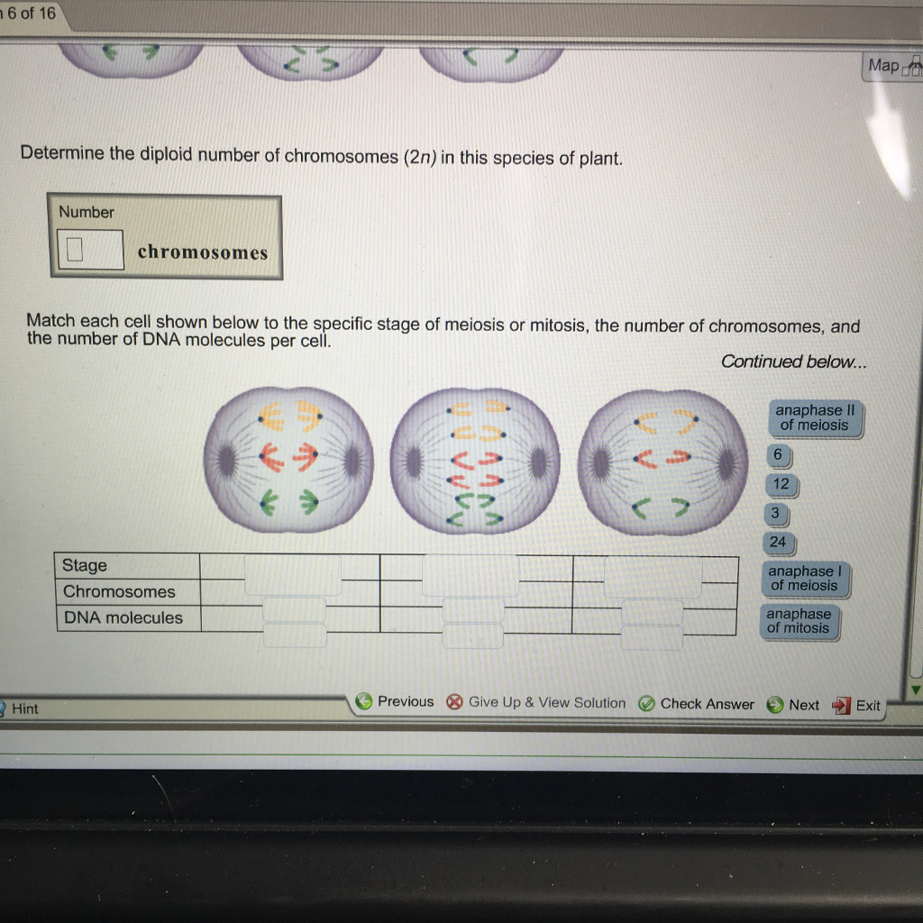 Solved Will someone please help me with this question | Chegg.com