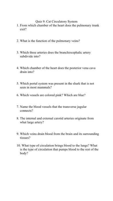 Solved Cat Circulatory System From which chamber of the | Chegg.com