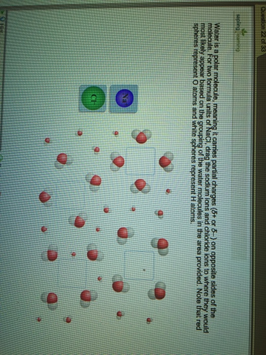 Solved Water is a polar molecule, meaning it carries partial | Chegg.com