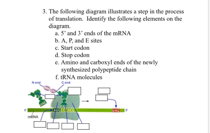 Solved The following diagram illustrates a step in the | Chegg.com