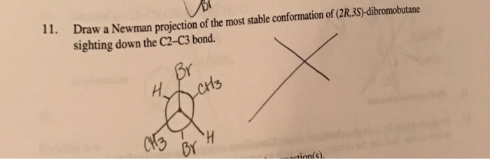 Solved Draw a Newman projection of the most stable | Chegg.com
