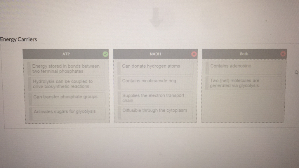 Solved Energy Carriers ATP NADH Both Contains adenosine | Chegg.com