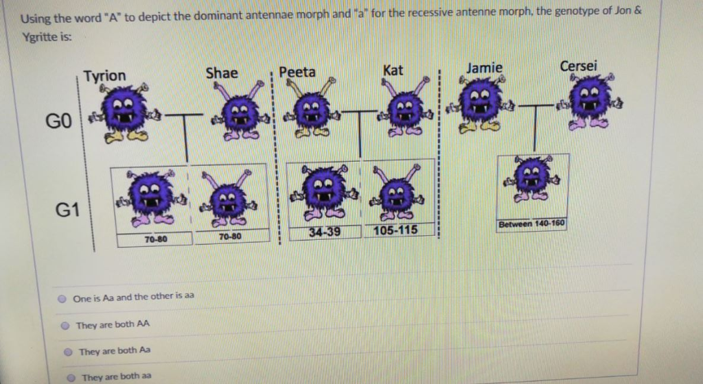 (Solved) - Part A) Two cats are mated. One of the parent cats is long ...