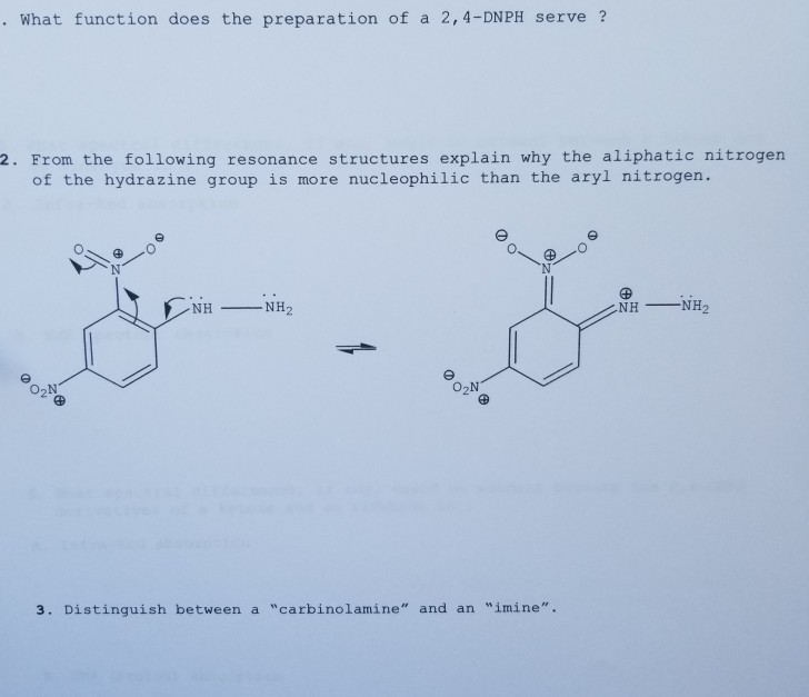 Solved What function does the preparation of a 2,4-DNPH | Chegg.com
