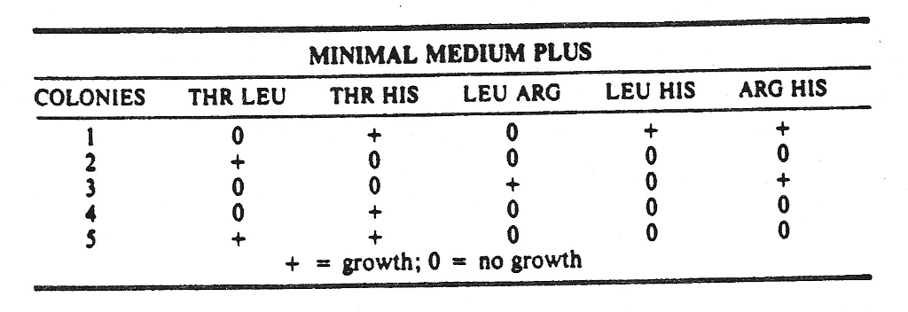 Solved A streptomycin-sensitive Hfr strain, prototrophic for | Chegg.com