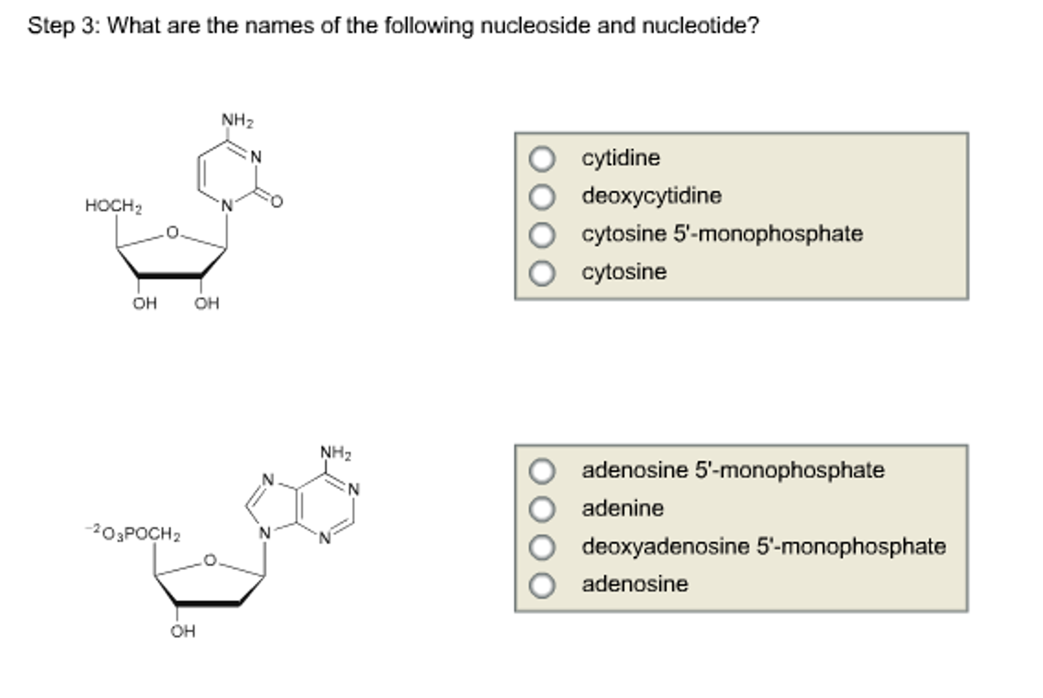 Cytidine Vs Cytosine