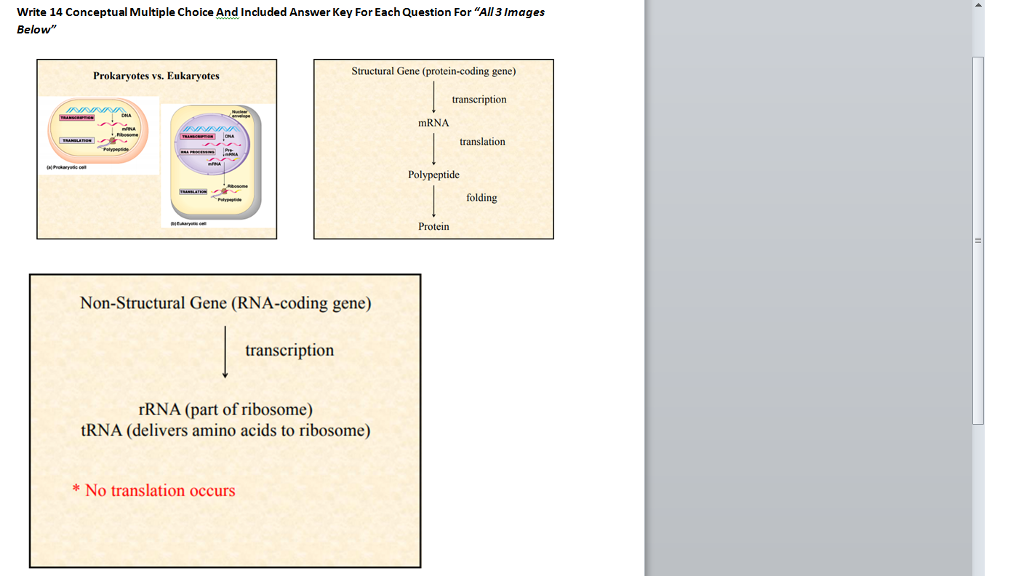 Solved Note: Write 14 Conceptual Multiple Choice And | Chegg.com