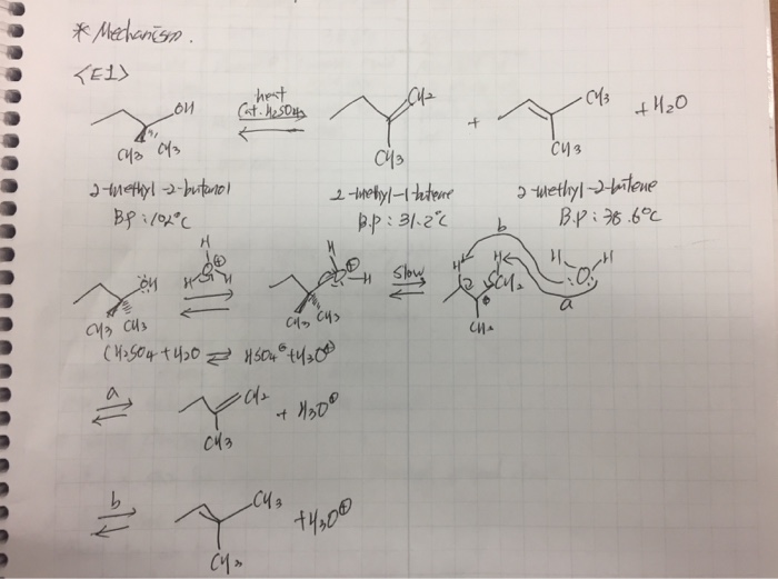 Solved In dehydration of 2-methyl-2-butanol experiment. why | Chegg.com
