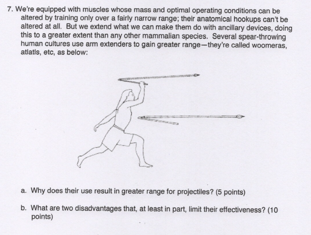 7. We're equipped with muscles whose mass and optimal | Chegg.com