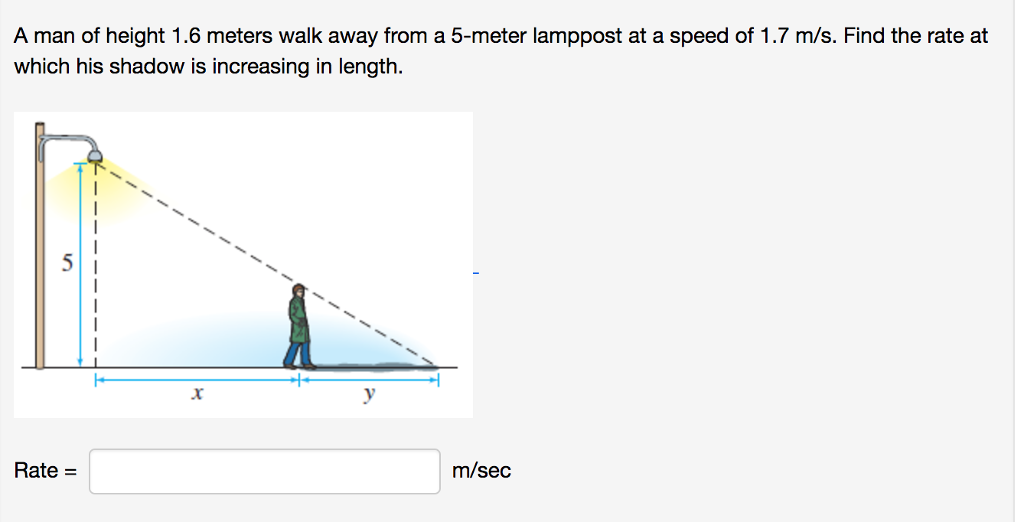 Solved A man of height 1.6 meters walk away from a 5-meter | Chegg.com