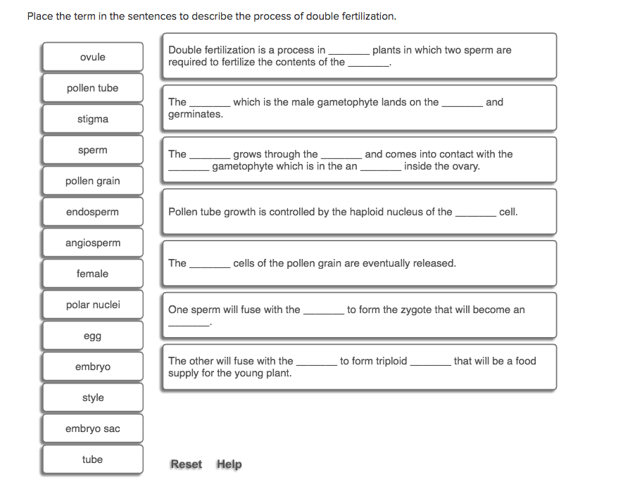 Solved Place the term in the sentences to describe the | Chegg.com