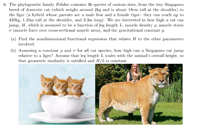 Advanced Physics Archive | October 18, 2017 | Chegg.com