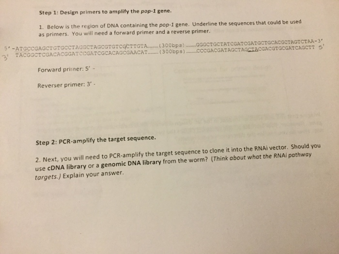 Solved Step 1: Design primers to amplify the pop-1 gene. 1. | Chegg.com