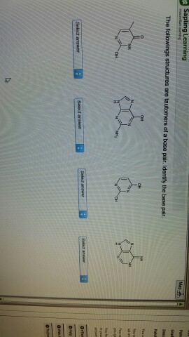 Solved the following structures are tautomers of a base | Chegg.com