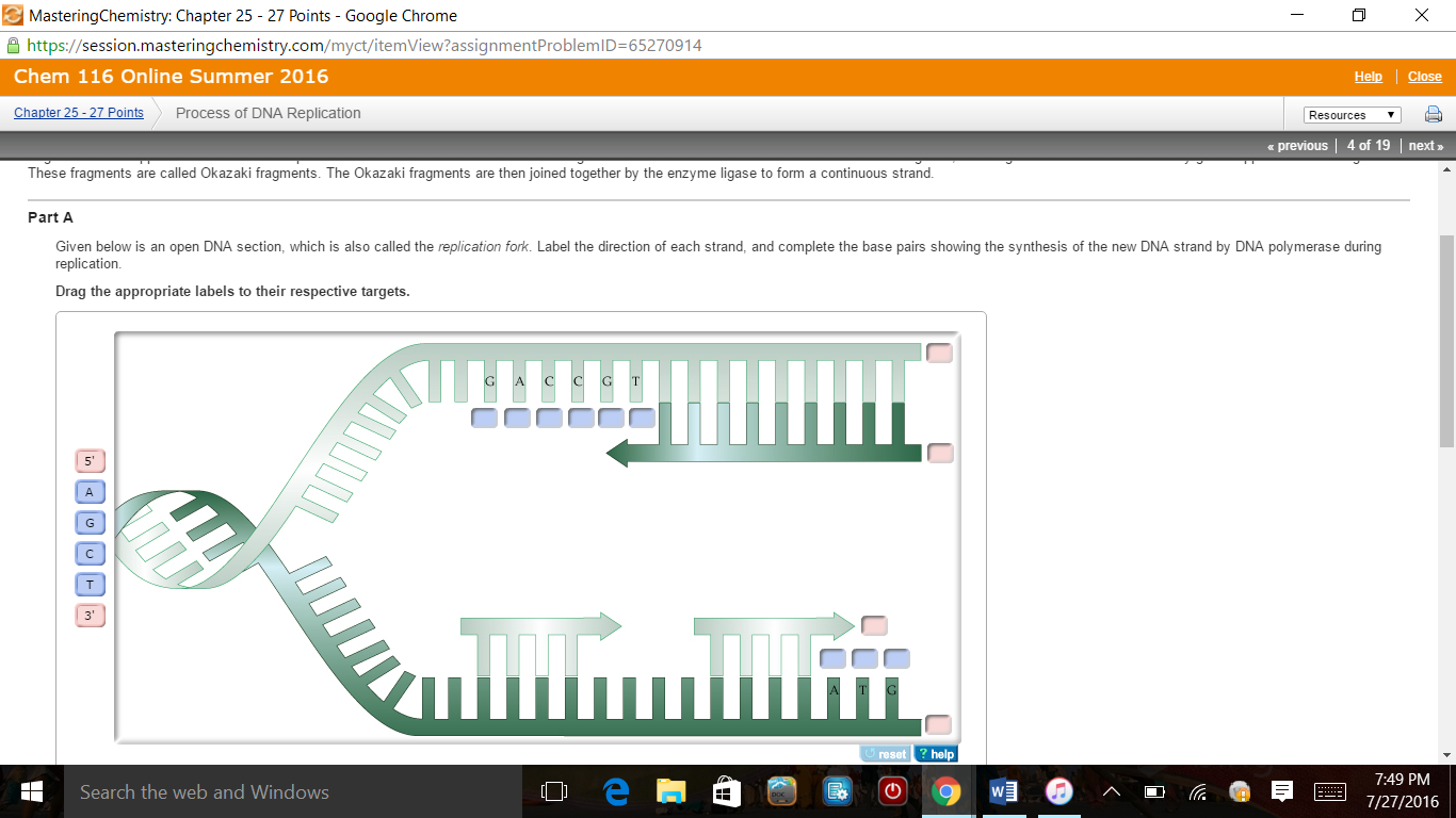 Solved 1.Given below is an open DNA section, which is also | Chegg.com