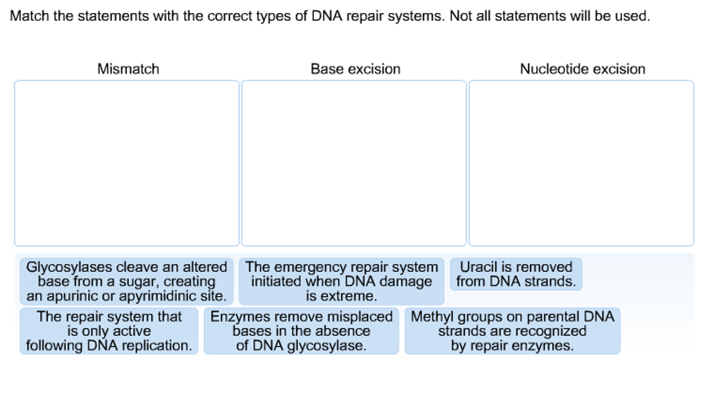 Solved Match the statements with the correct types of DNA | Chegg.com