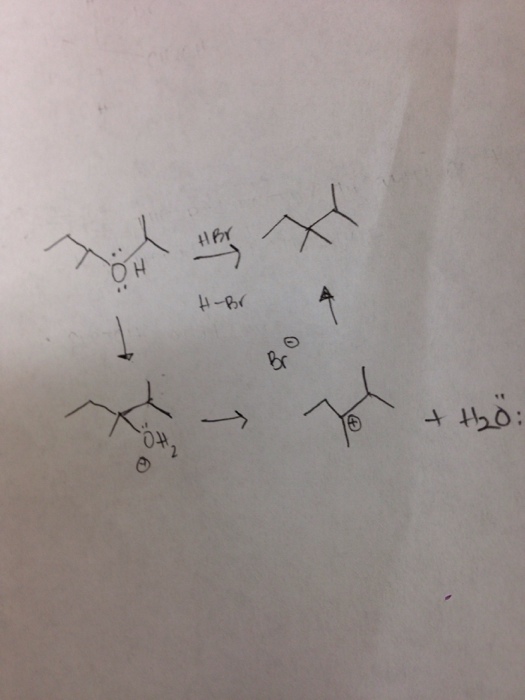 Solved The following reaction has 3 mechanism steps. | Chegg.com