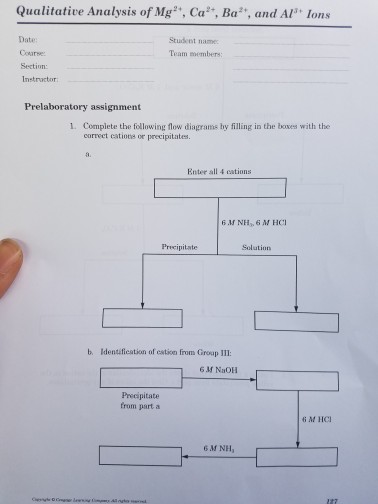 Solved Qualitative Analysis of Mg Ca Ba and Al Ions Student | Chegg.com