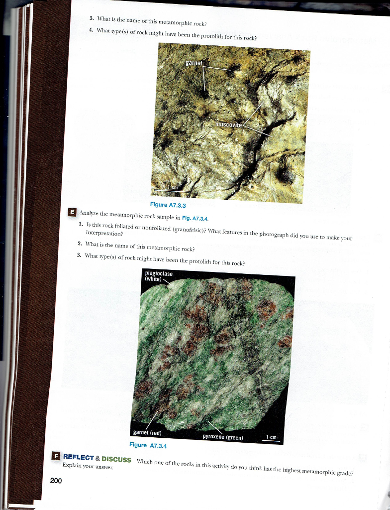 Solved Metamorphic Rock Analysis and Interpretation Activity | Chegg.com
