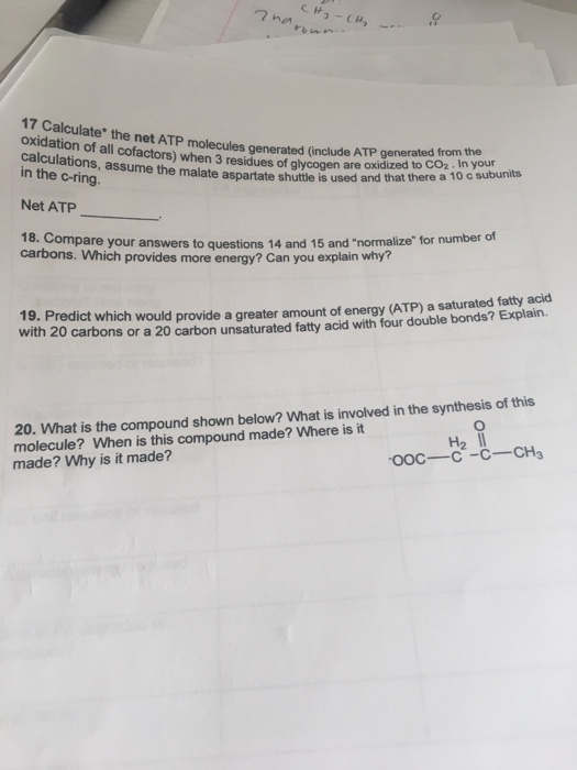 Solved Calculate* the net ATP molecules generated (include | Chegg.com