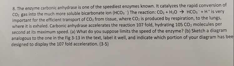 Solved 8. The enzyme carbonic anhydrase is one of the | Chegg.com