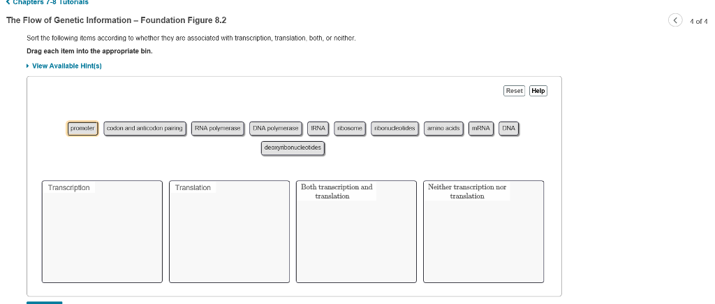 Solved Chapters lutorials The Flow of Genetic Information | Chegg.com
