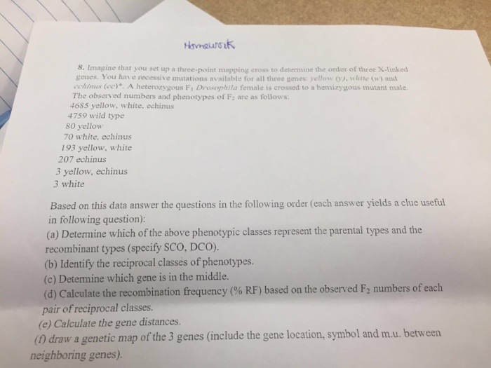 Solved Imagine that you set up a three-point mapping chess | Chegg.com