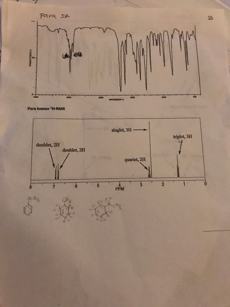 Solved 1530 1000 Ortho Isomer 'H-NMR singlet, 3H triplet, 1H | Chegg.com
