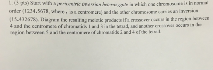 Start with a pericentric inversion heterozygote n | Chegg.com