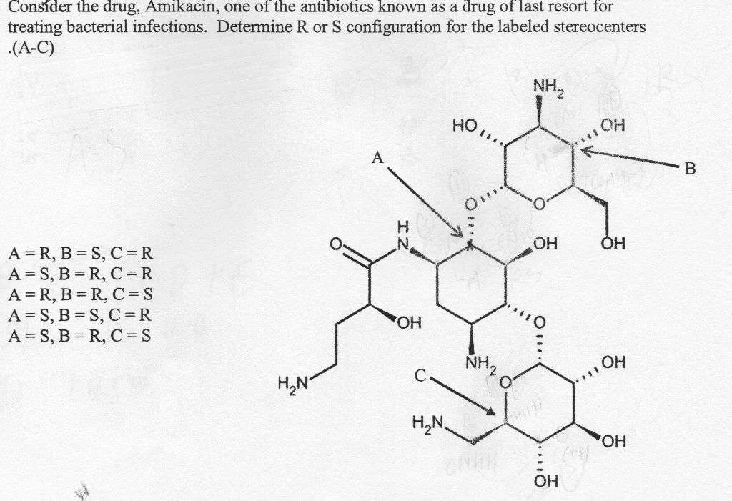 Solved Consíder the drug, Amikacin, one of the antibiotics | Chegg.com