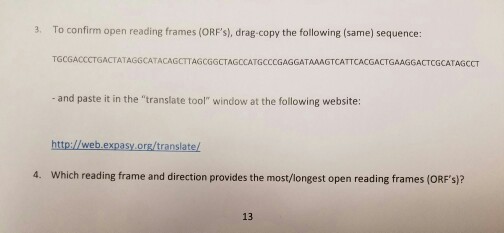 Solved To confirm open reading frames (ORF's), drag-copy the | Chegg.com