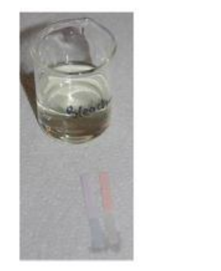 Solved During a laboratory experiment, you dipped red and | Chegg.com