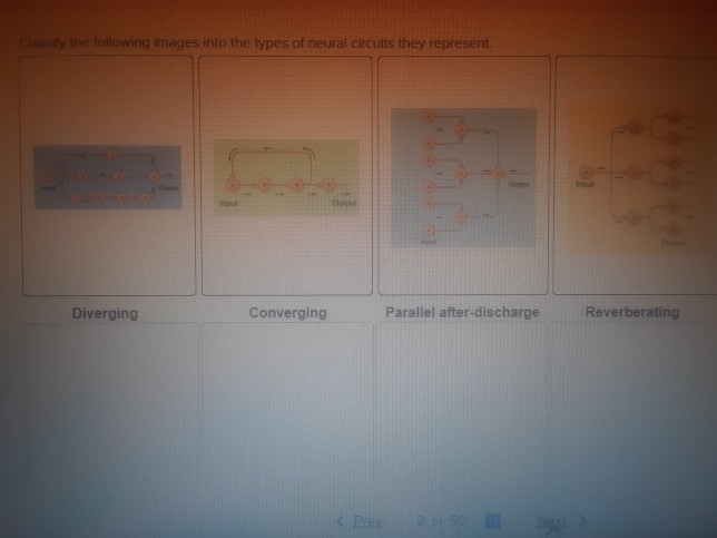 Solved Classify The Following Images Into The Types Of 