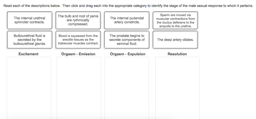 Solved Read Each Of The Descriptions Below Then Click And