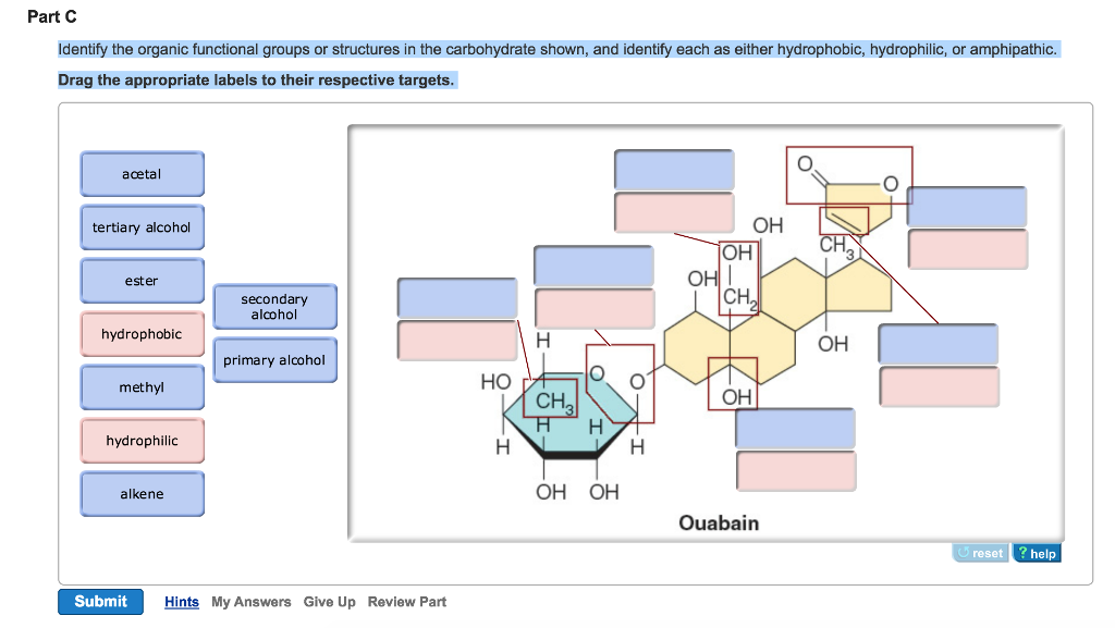 Solved Identify the organic functional groups or structures | Chegg.com