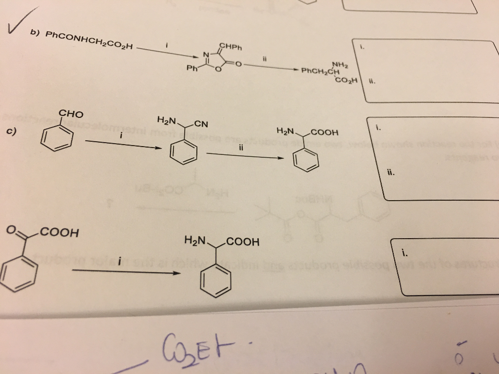 Solved CHPh NH2 Ph CO2H i CHO c) | Chegg.com