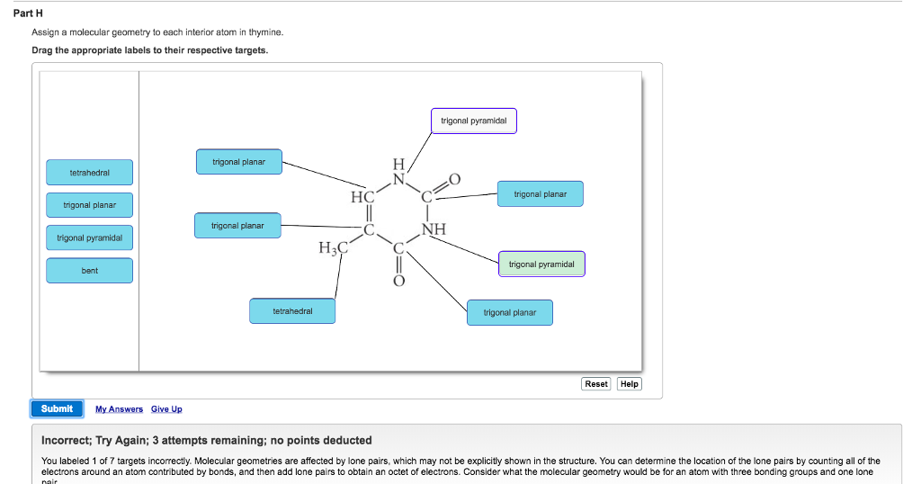 Solved Part H Assign a molecular geometry to each interior | Chegg.com