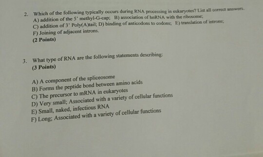 Solved Which of the following typically occurs during RNA | Chegg.com