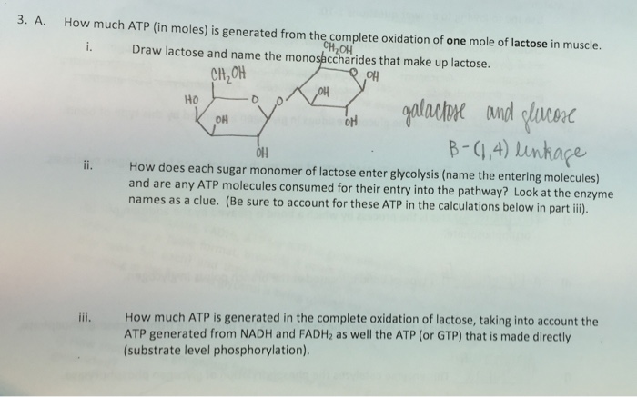 Solved How much ATP (in moles) is generated from the | Chegg.com