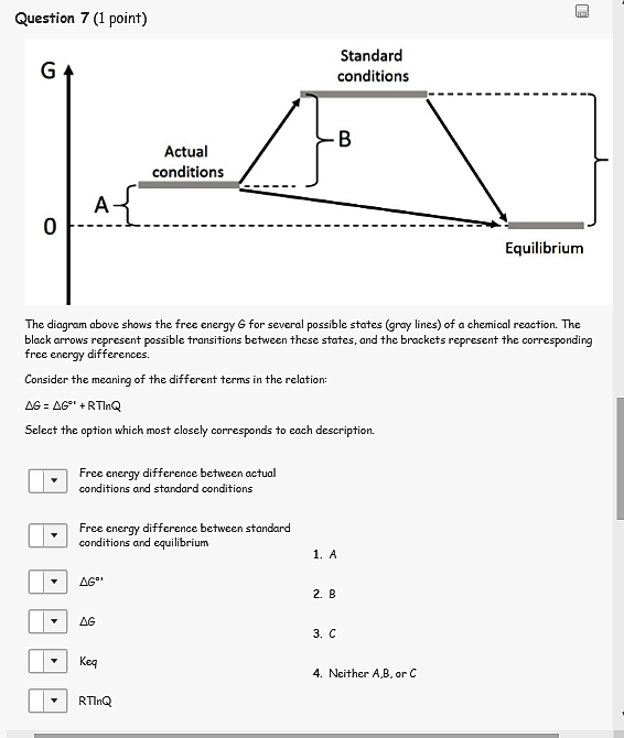Solved The diagram above shows the free energy G for several | Chegg.com