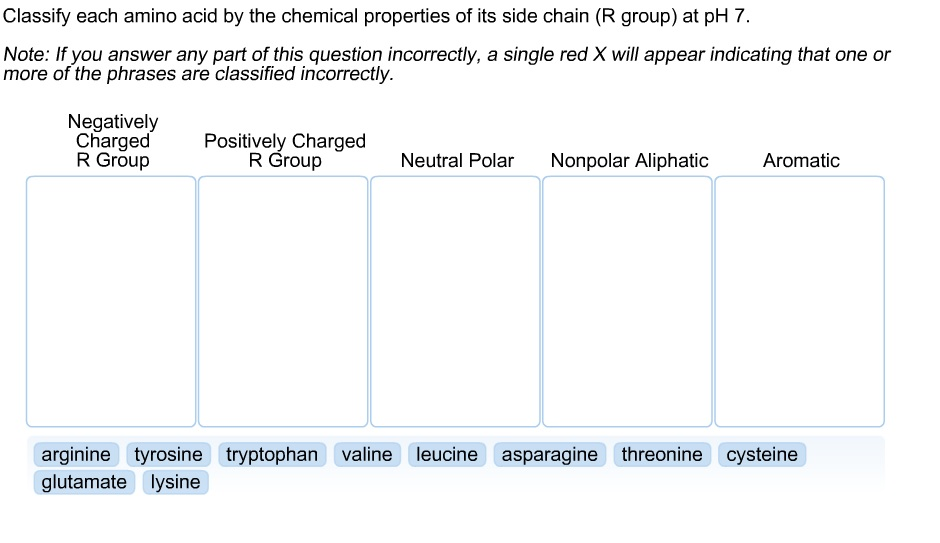 Solved Classify each amino acid by the chemical properties | Chegg.com