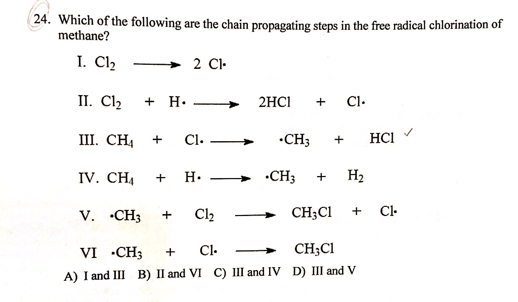 Solved Which of the following are the chain propagating | Chegg.com
