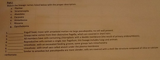 Solved Part I Match the lineage names listed below with the | Chegg.com