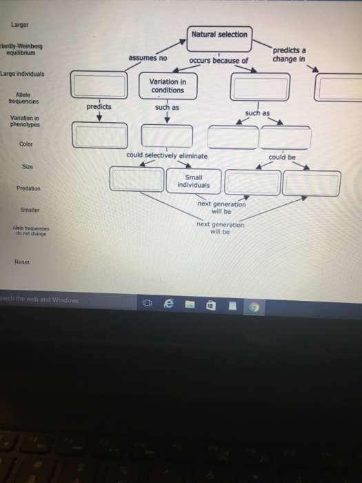 Solved Complete the concept map describing natural selection | Chegg.com